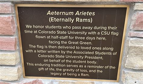 Memorial Explains Why Csu Flag At Lsc Is Lowered To Half Staff Lory