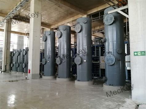 Meckey Latest Strains And Fermentation Technology Applied In High