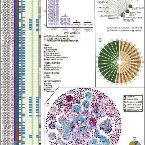 Cba J Mouse Database Cbaj Db Genomic Methods And Composition A Download Scientific Diagram