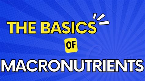 Mastering Macros A Comprehensive Guide Youtube