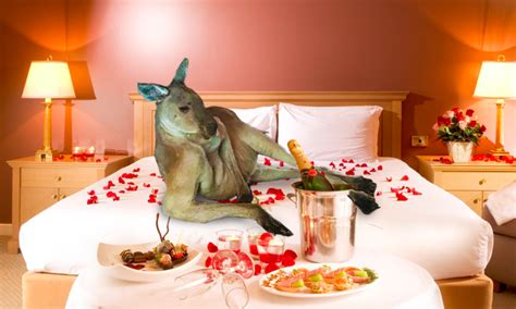 This Kangaroo Is Too Sexy For Us All And Twitter Cant Contain Its Thirst