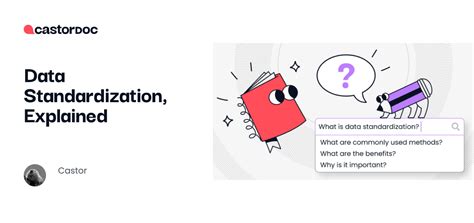 Data Standardization Explained Castordoc Blog