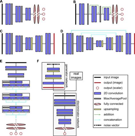 Modern Nn Architectures Relevant For Image Analysis In Single Molecule Download Scientific