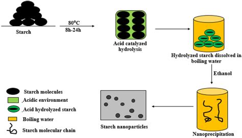 Fabrication Of Starch Nanoparticles By Acid Catalyzed Hydrolysis And