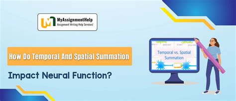 How Do Temporal And Spatial Summation Impact Neural Function Myassignmenthelp