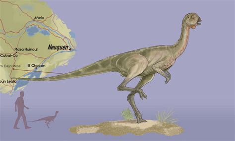 Dinosaurios Del Neuquén Dinosaurios Del Neuquén Anabisetia