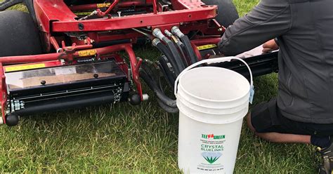 The Benefits Of Creeping Bentgrass For Golf Coure