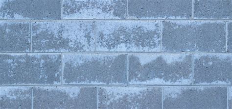 What Is White Stuff On Walls In Basement A Waterproofing Solution Inc