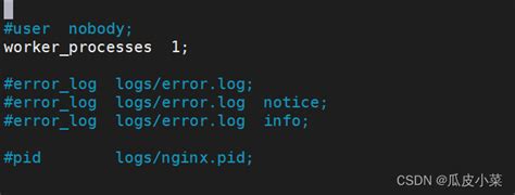 Nginx服务主配置文件 nginx conf