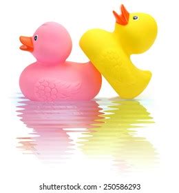 Funny Rubber Duck Couple Making Love Stock Photo Shutterstock