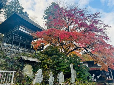 ちょっと紅葉、長楽寺 そらいろぺんしる