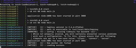 Installation Unable To Start Haproxy 24 Missing Lf On Last Line