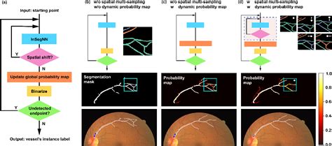 Figure 1 From Robust Semi Automatic Vessel Tracing In The Human Retinal Image By An Instance