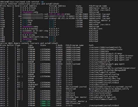 Netstat Sur Linux Utilisations Et Exemples