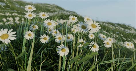 Our Commitments Alan Allman Associates