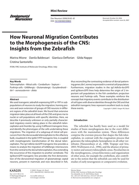 Pdf How Neuronal Migration Contributes To The Morphogenesis Of The Cns Insights From The