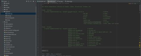 Yolov5 实例分割 导出onnx格式yolox 训练后到处onnx文件 Csdn博客