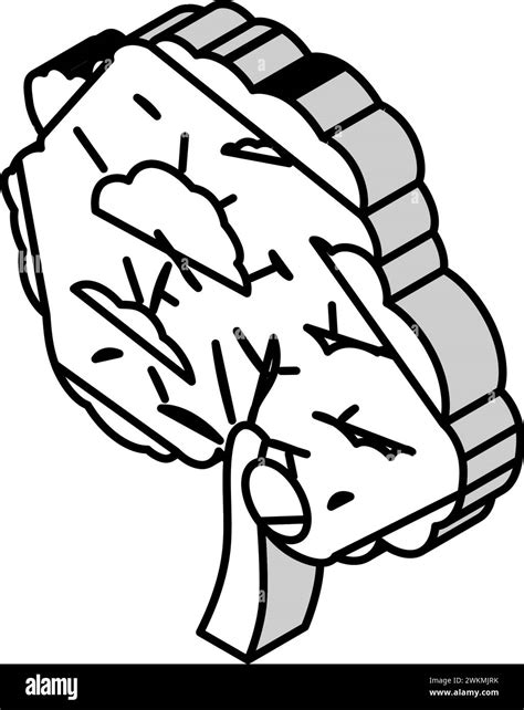 Ipe Jungle Amazon Isometric Icon Vector Illustration Stock Vector Image