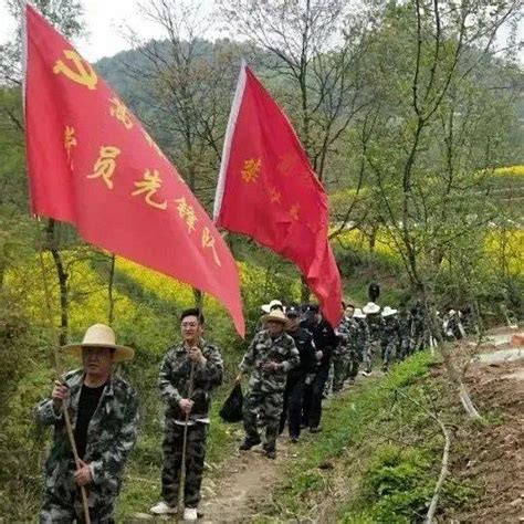 【蒿林动态】蒿林乡扎实开展2022年禁种铲毒搜山踏查行动种植毒品植物