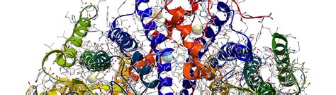 Considerations For Choosing A Protein Production Service Provider Biocompare The Buyers