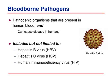Bloodborne Pathogens Vector Png Vector Psd And Clipart With 3933350