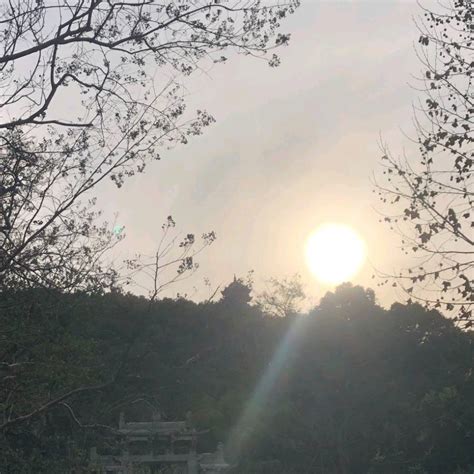 肩膀疼麻木是怎么回事？这个你肯定不知道 症状 原因 损伤