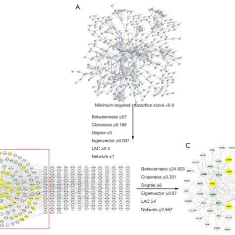 Protein Protein Interaction Networks Of The Clinically Relevant Degs Download Scientific