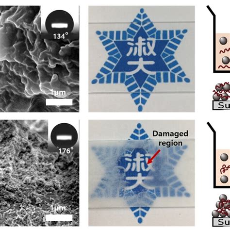Turbidity Data Of Sprays UV Vis IS Download Scientific Diagram