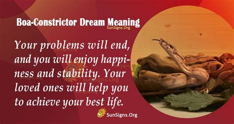 Seeing A Boa Constrictor In Your Dream Meaning Interpretation And