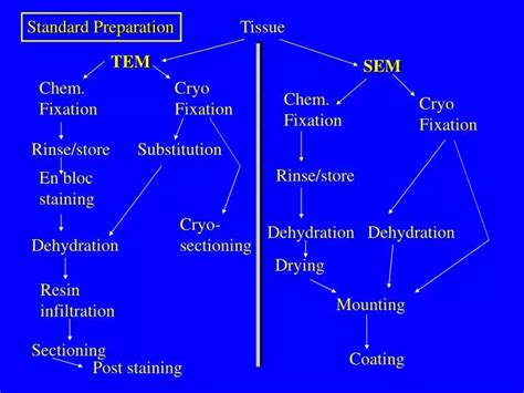 PPT TEM PowerPoint Presentation Free Download ID 318501