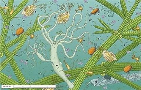 Nigel Fleming On Linkedin Gcaxr8gj