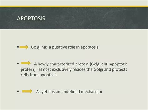 Golgi Apparatus Ppt Introduction Structure And Function Pptx