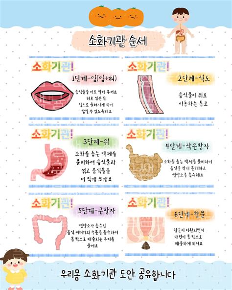 귤쌤 공유마감🔥🔥🔥🔥🔥💩귤쌤의 소화기관순서도 공유합니다💩 무료공유기간 519 1 팔로우좋아요 누르기 2 댓글로 소화기관 작성하기 안녕하세요 귤쌤‘ 입니다 오늘은