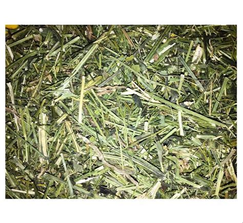 Dried Chirata Herbs At ₹ 75 Kg Amritsar Id 21743121562