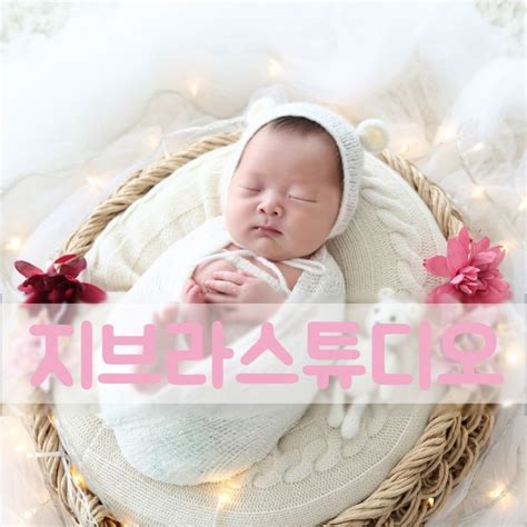 ️ 뉴본아트 오십일 백일 이백일 삼백일 돌 주니어 가족사진 아기 전문 사진관 네이버 블로그