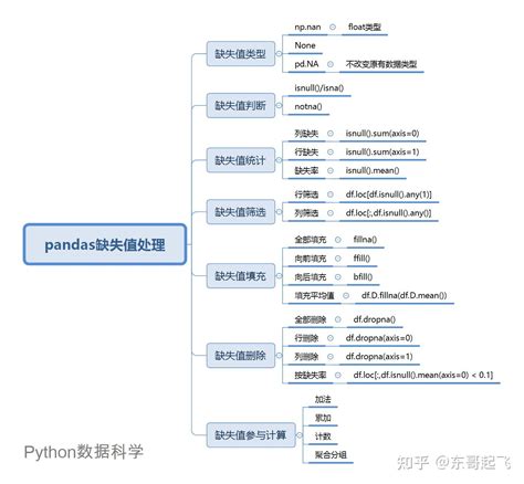 Pandas 缺失数据处理大全（附代码） 知乎