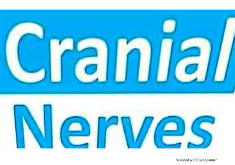 SOLUTION Cranial Nerve Studypool