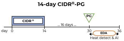 Heat Detection Protocols Beef Reproduction Task Force