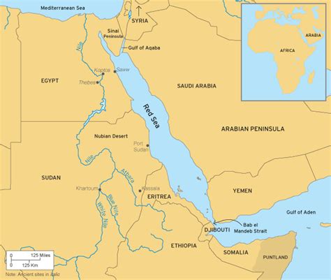 Nova Building Pharaohs Ship Where Is Punt Image 2 Pbs