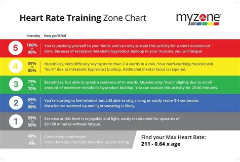 The Surprising Benefits Of Zone 2 Cardio Carolina Fitness Equipment