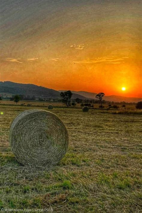 По пътя на житото с дядо и внук Моето перо