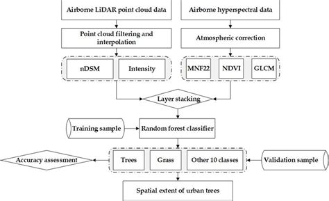 Flowchart Of Random Forest Classification For Urban Vegetation