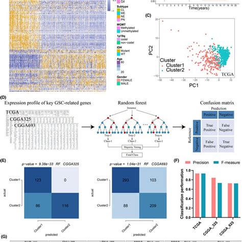Machine Learning For Clustering And Validation Based On Gsc‐related Download Scientific Diagram
