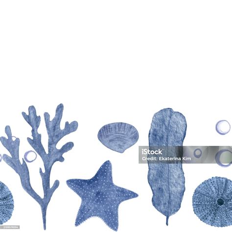 불가사리 해초 거품 및 조개 파란색 단색 수채화 이음새가 없는 테두리가 흰색에 고립되어 있습니다 카드 레스토랑 메뉴 섬유 관광 테이프 및 방 장식을 위한 손으로 그린 그림