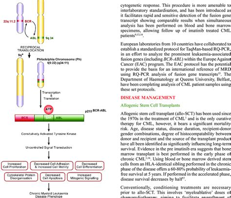 Bcr Abl Signalling Pathways Download Scientific Diagram