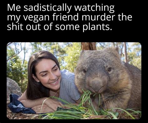 Hello Clarice Scrolller