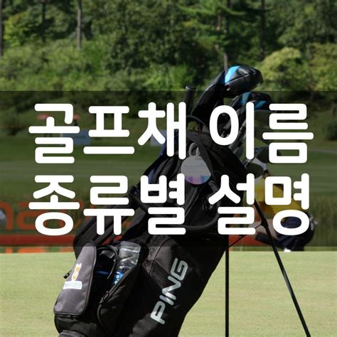 네이버 인플루언서