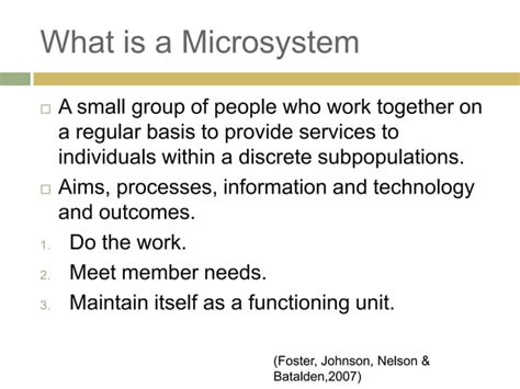 Systems And Microsystems 1 Ppt