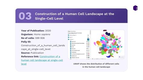 Noteworthy Single Cell Rna Seq Datasets On Inflammatory Diseasespptx