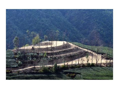 Everest Tea Garden Mini Illam My Holiday Nepal Travel Blog